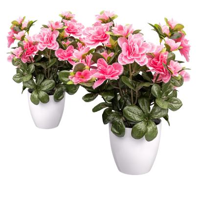 2er Set Azalee ca. 26cm rosa und weiß | 123.live